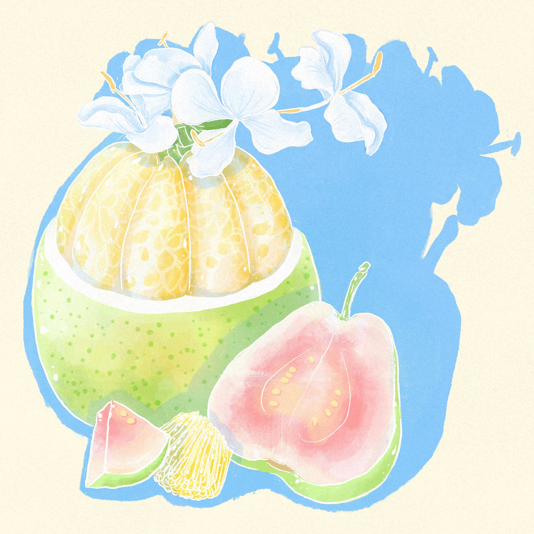 Hydrangea Coffee Roasters