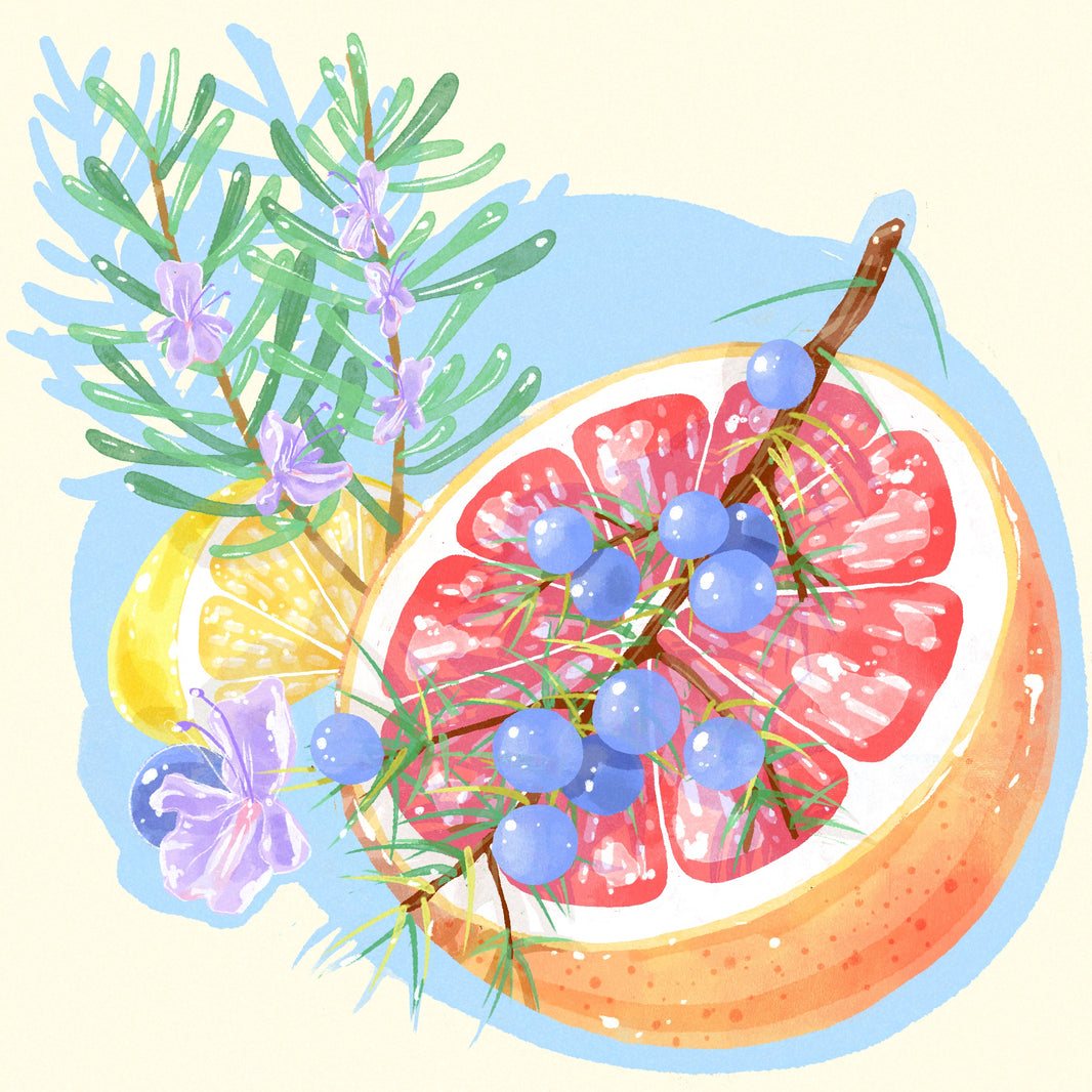 Hydrangea Coffee Roasters