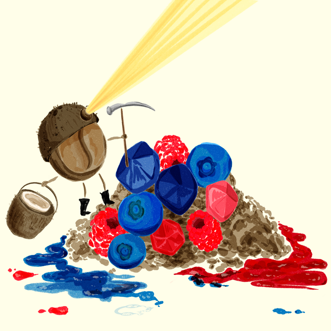 Hydrangea Coffee Roasters