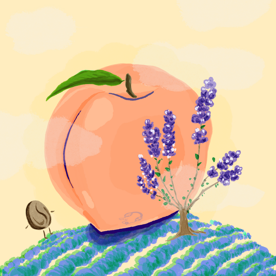 Hydrangea Coffee Roasters