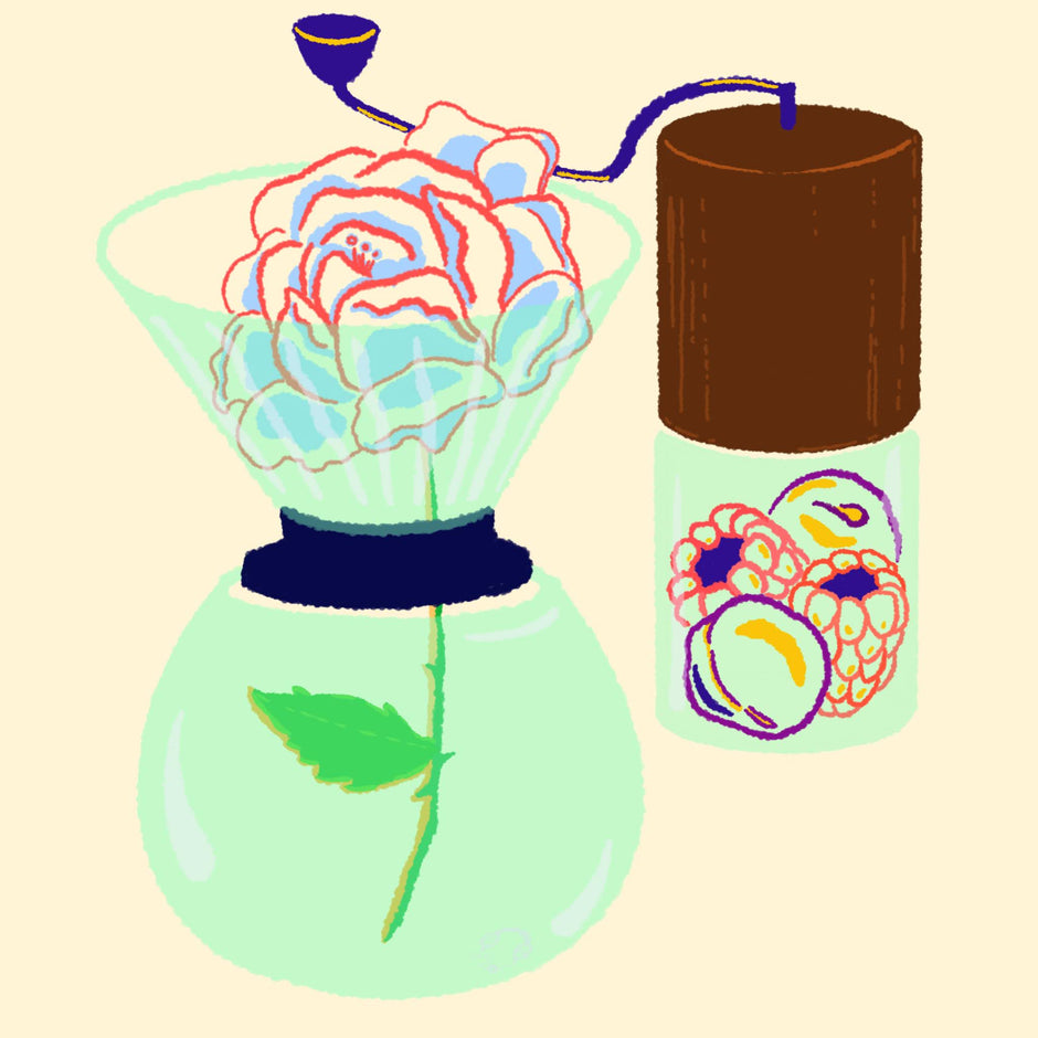 Hydrangea Coffee Roasters