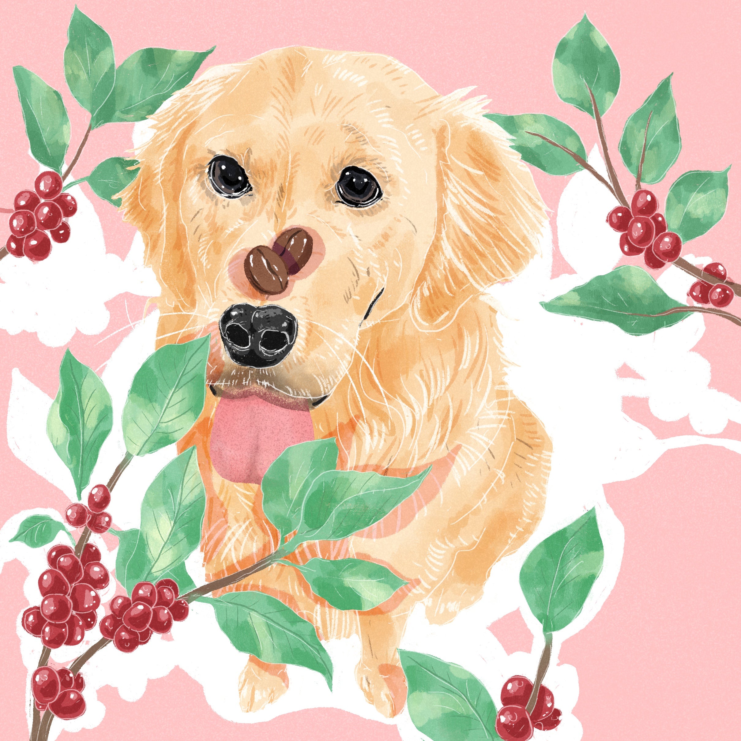 Gesha - Natural 793 NNF - Finca Nuguo – Hydrangea Coffee Roasters