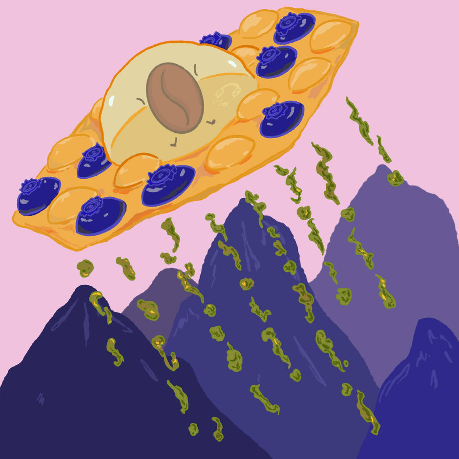 Hydrangea Archive – Hydrangea Coffee Roasters