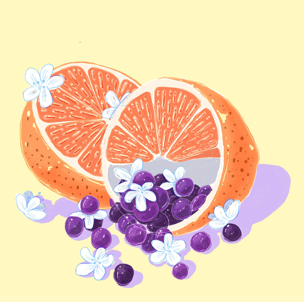 Hydrangea Coffee Roasters