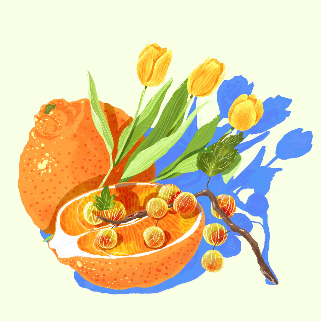 Hydrangea Coffee Roasters