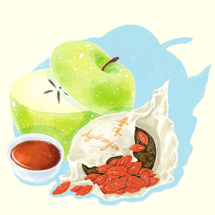 Hydrangea Coffee Roasters