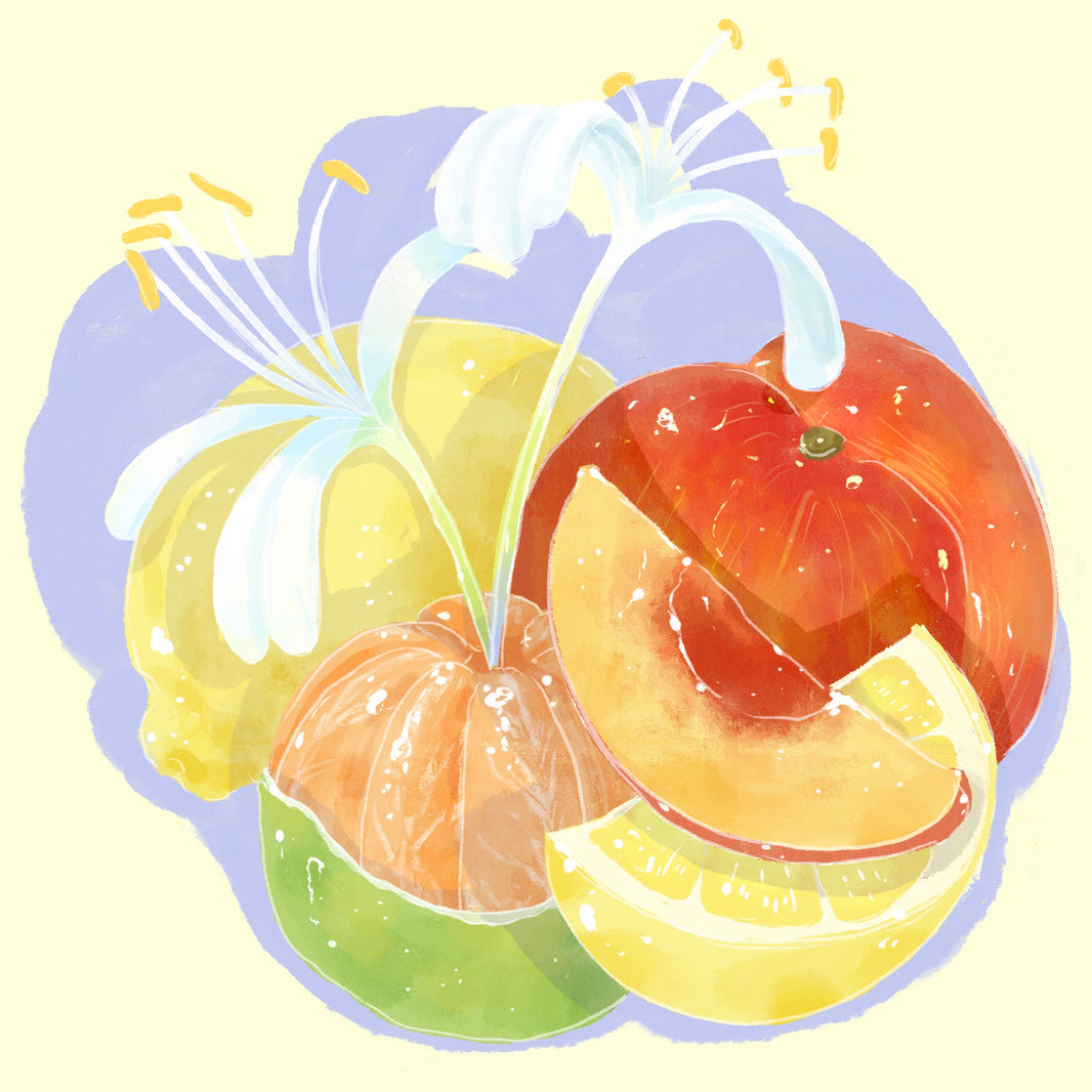 Hydrangea Coffee Roasters