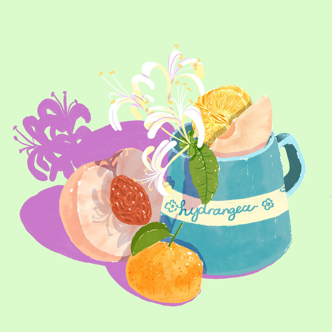 Hydrangea Coffee Roasters