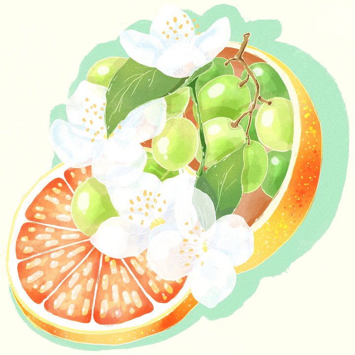 Hydrangea Coffee Roasters