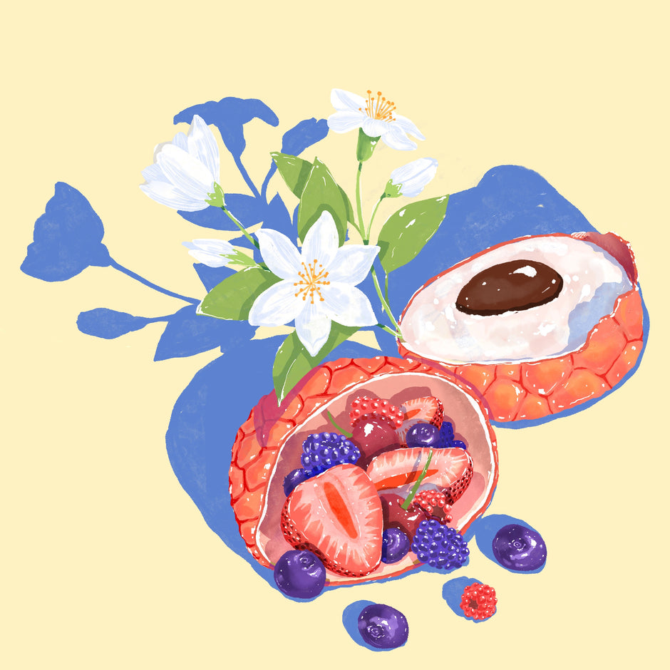 Hydrangea Coffee Roasters