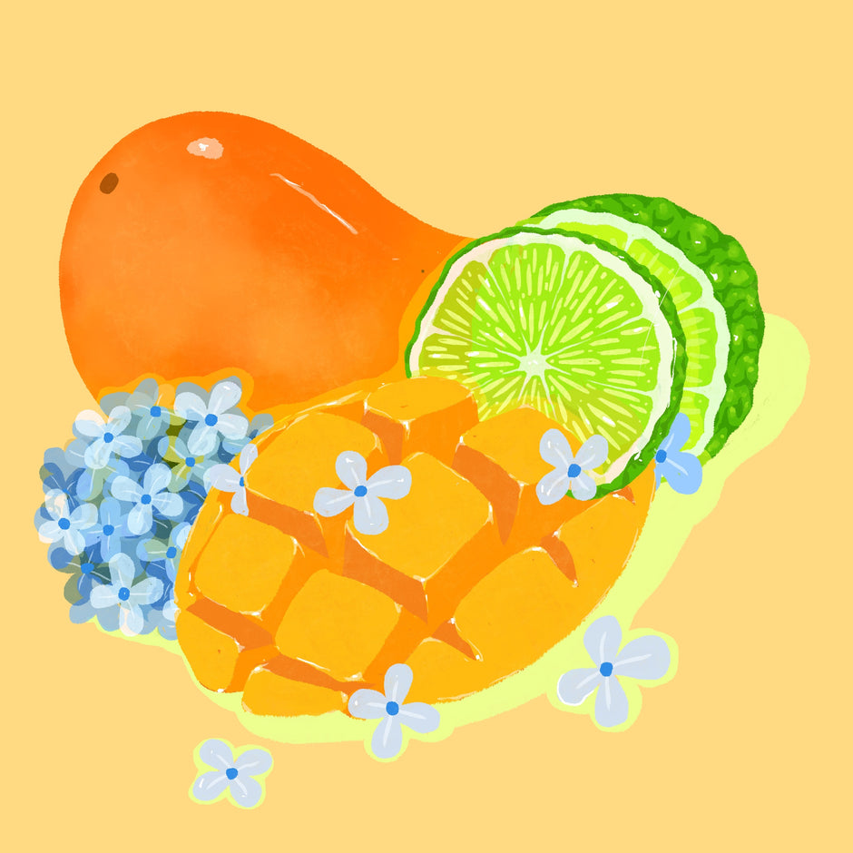 Hydrangea Coffee Roasters