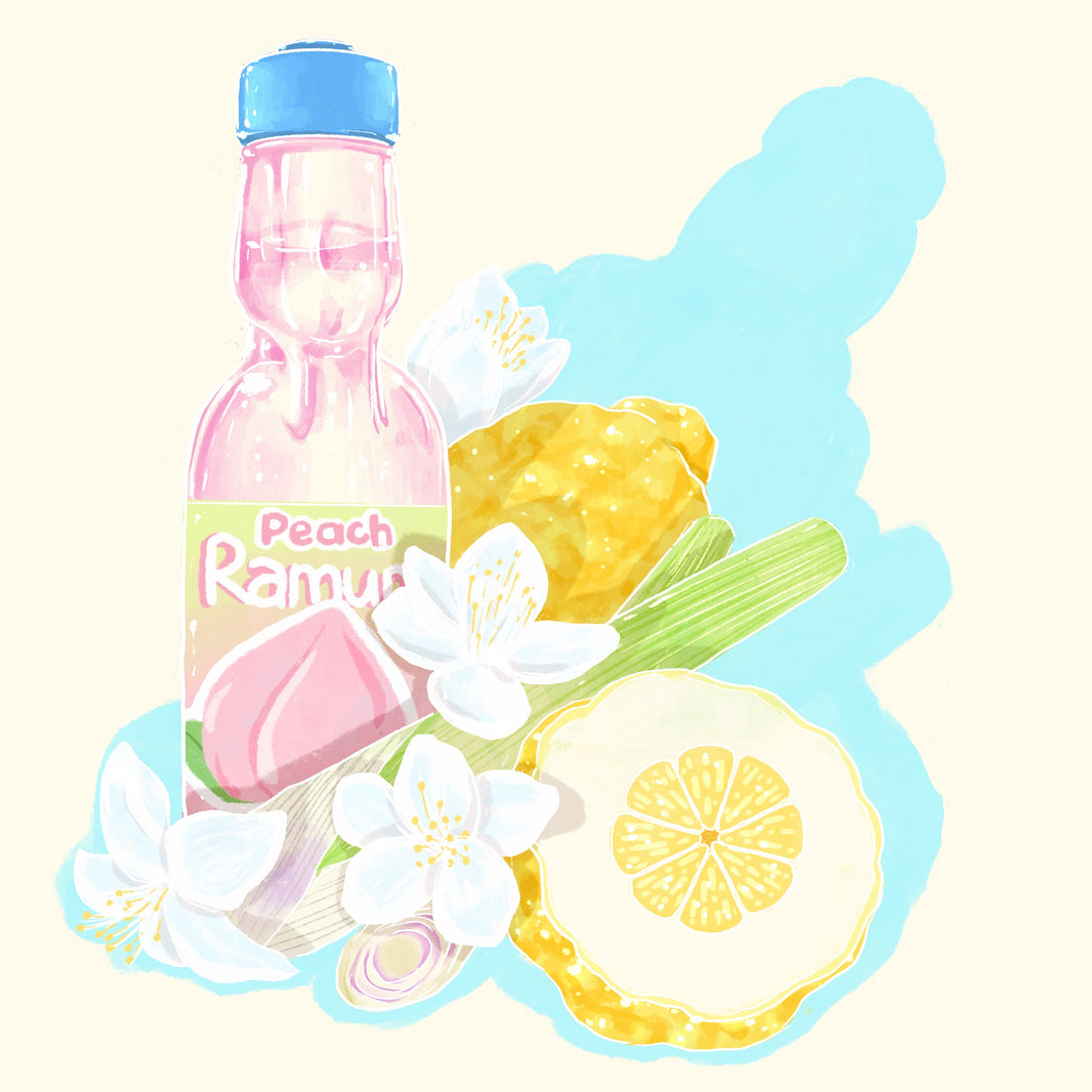 Hydrangea Coffee Roasters