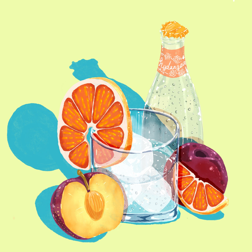 Hydrangea Coffee Roasters