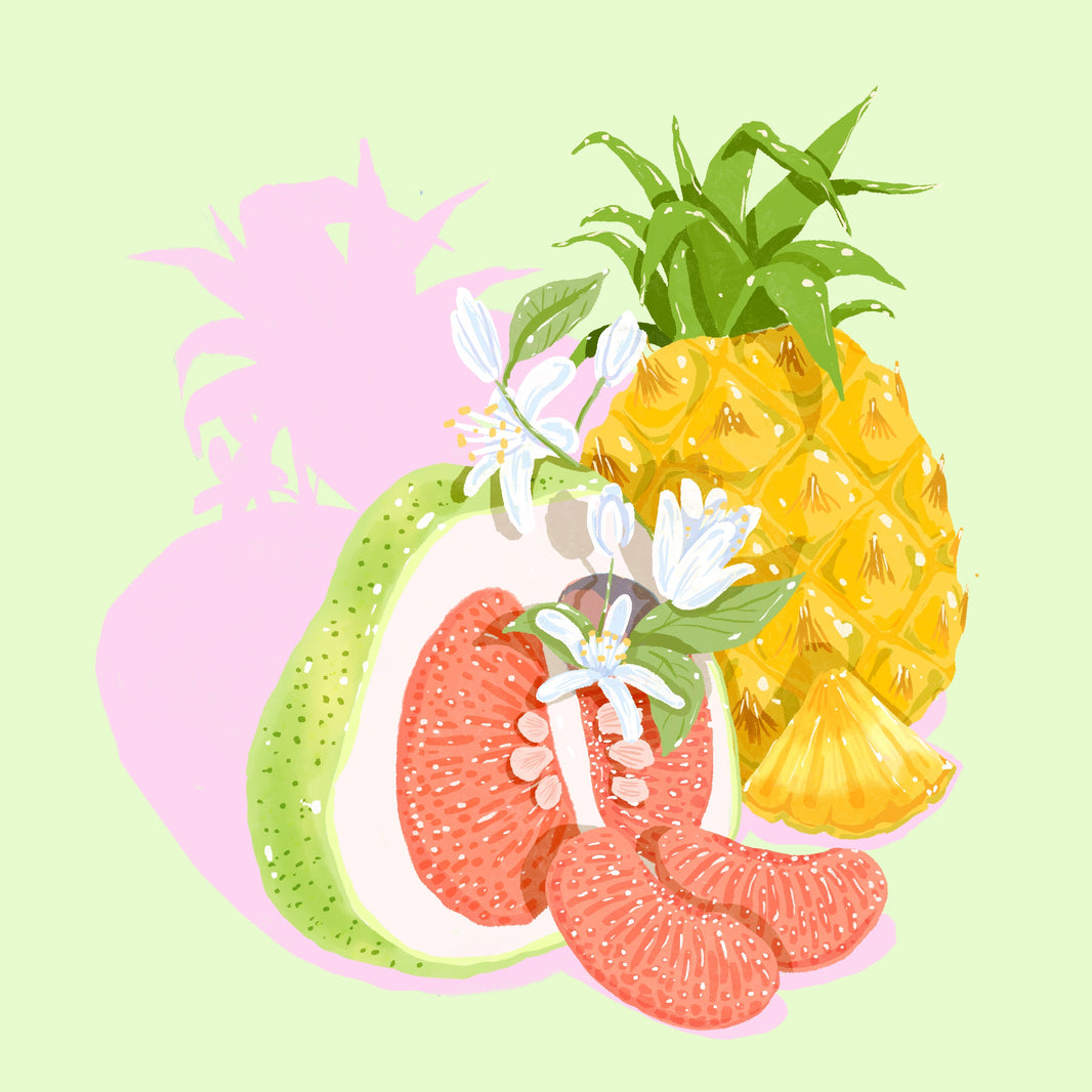 Hydrangea Coffee Roasters