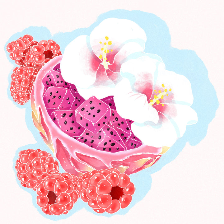 Hydrangea Coffee Roasters