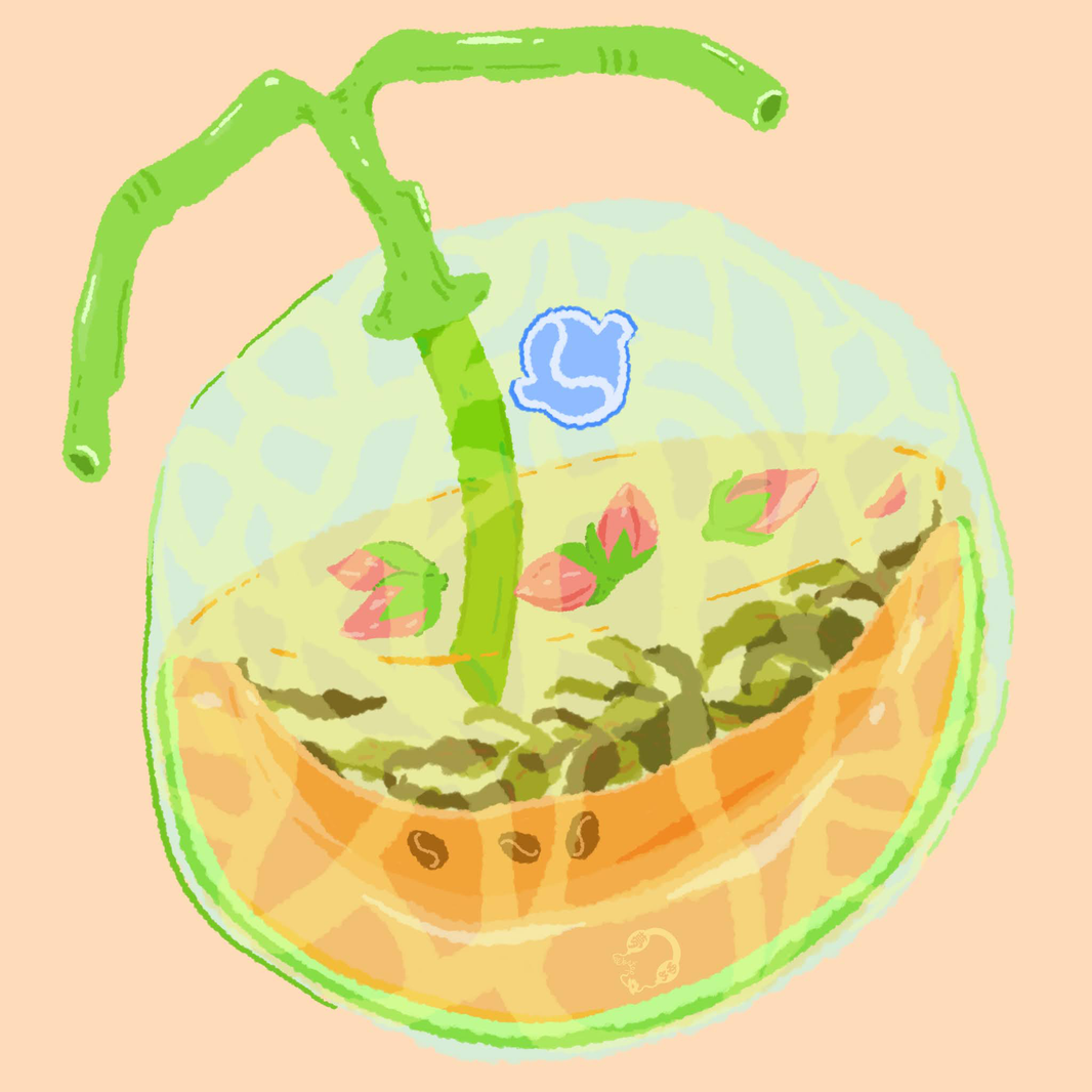 Hydrangea Coffee Roasters