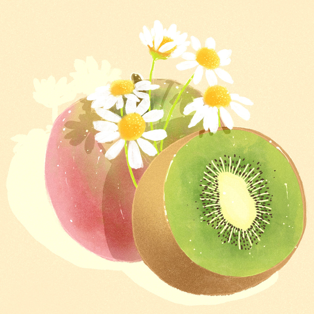 Hydrangea Archive – Hydrangea Coffee Roasters