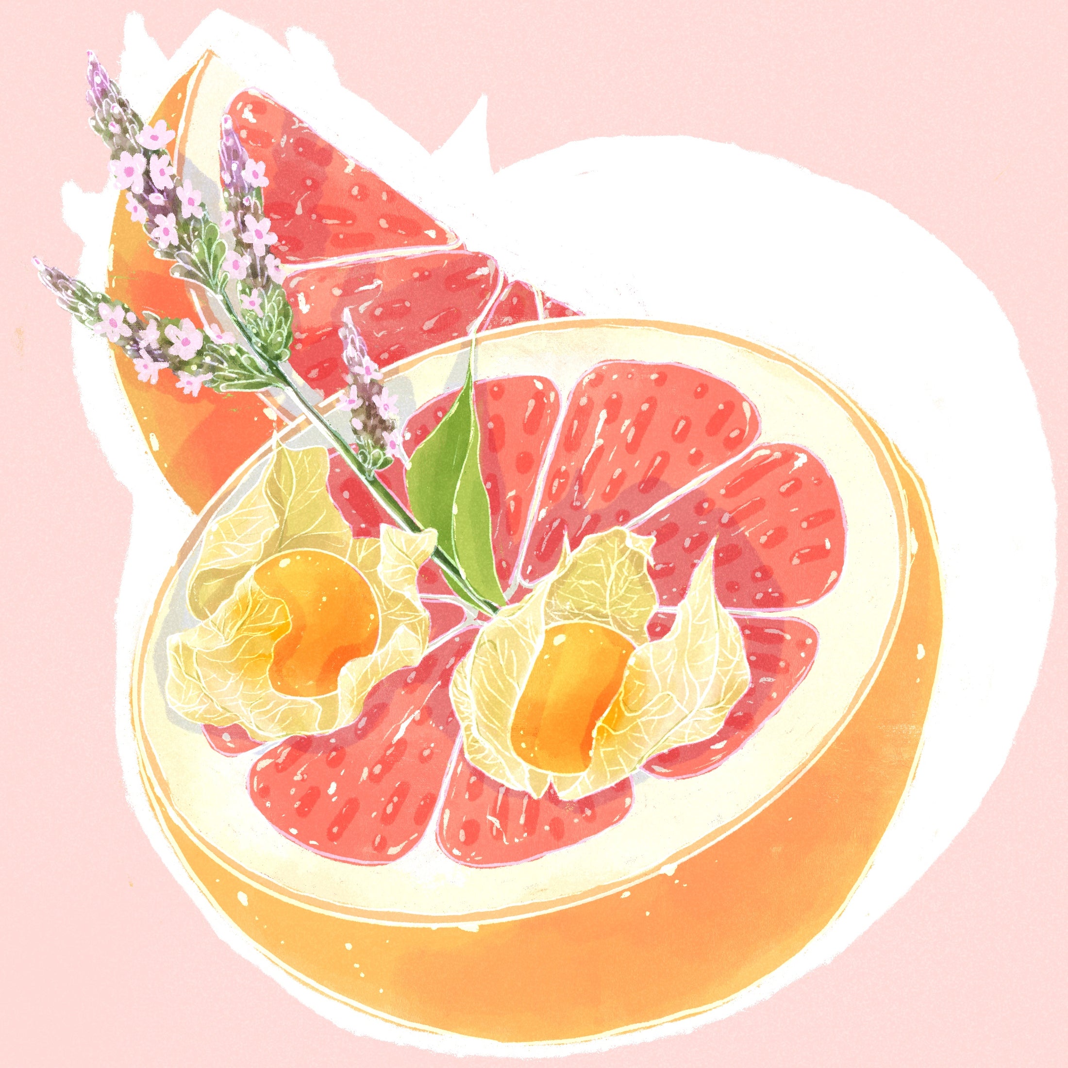 Hydrangea Drops – Hydrangea Coffee Roasters