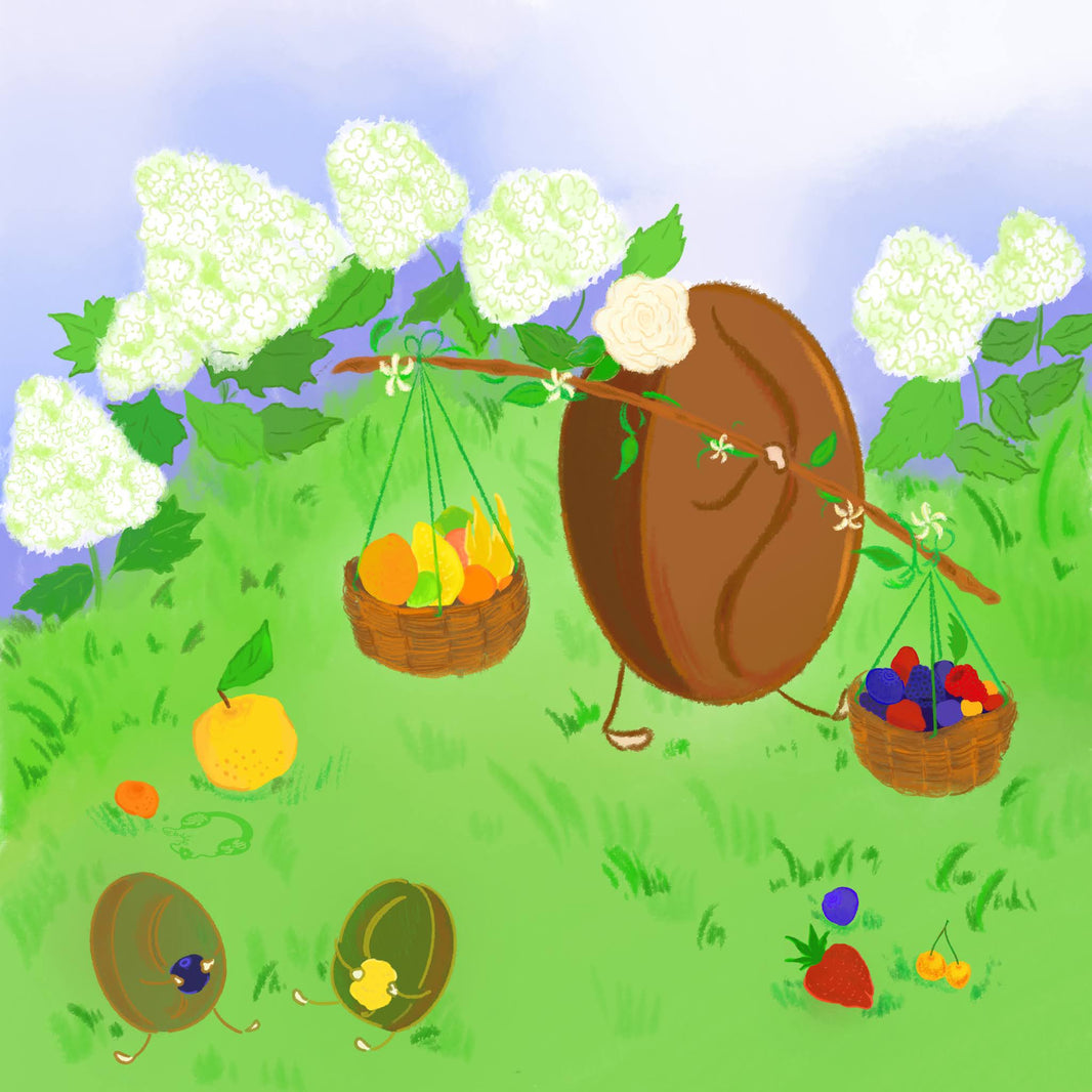 Hydrangea Coffee Roasters