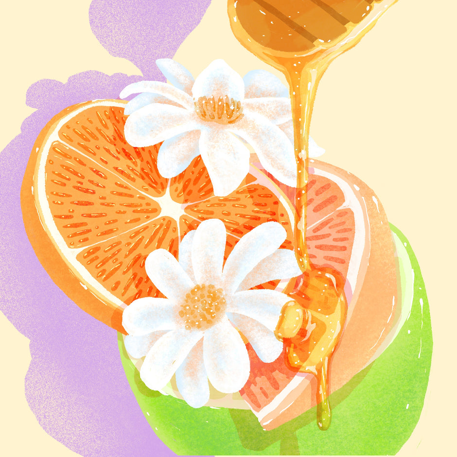 Hydrangea Coffee Roasters